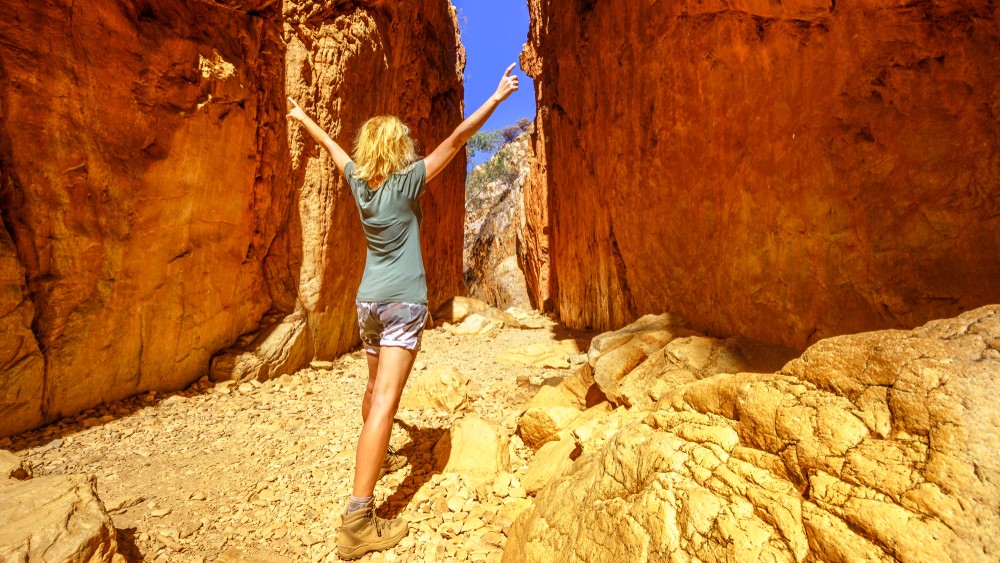 Geological guidebook of Larapinta trail to be launched by Geological ...