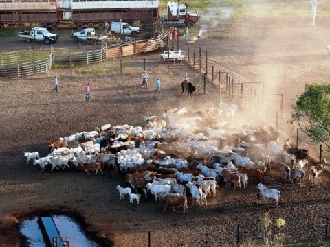 Pastoral company pays more than $300 million for Beetaloo stations | NT ...